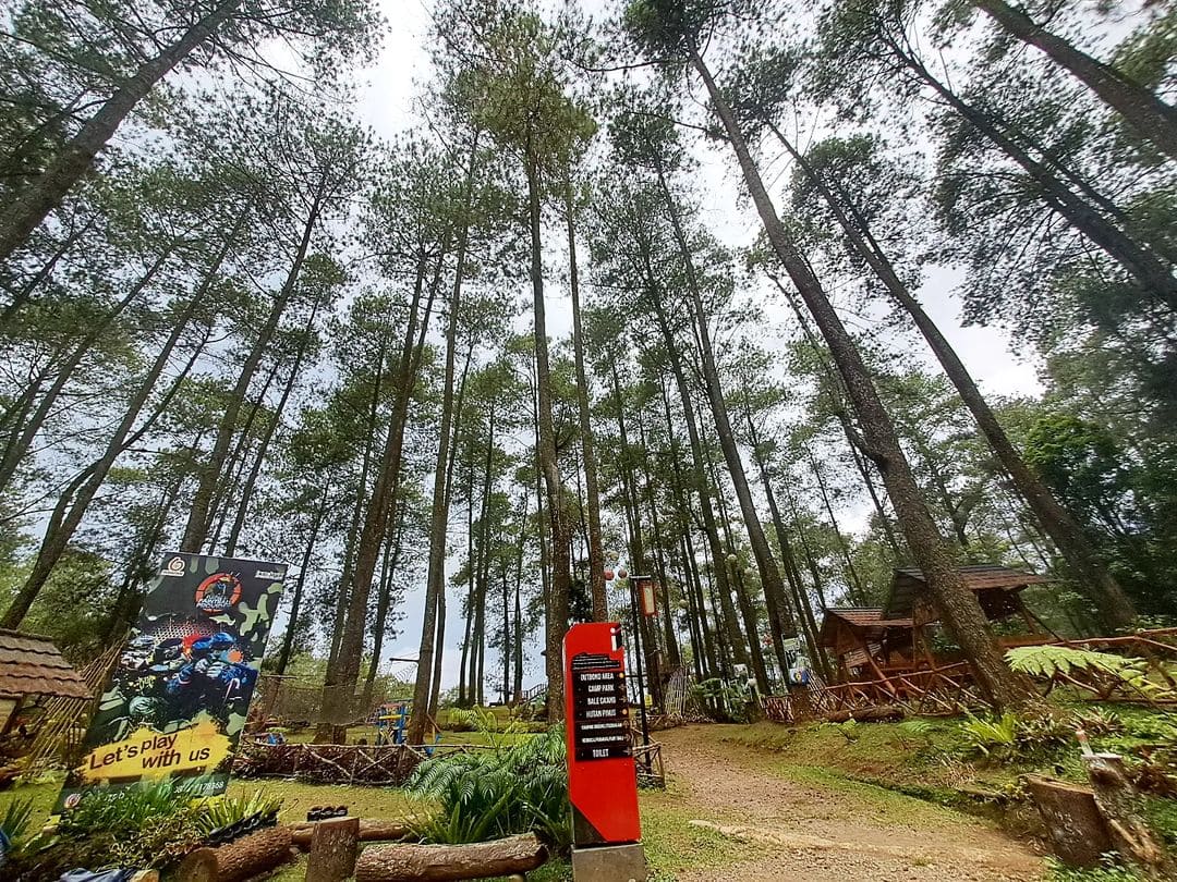 10 Tempat Outbound Di Bandung Dan Lembang Terbaik, Fasilitasnya Lengkap!