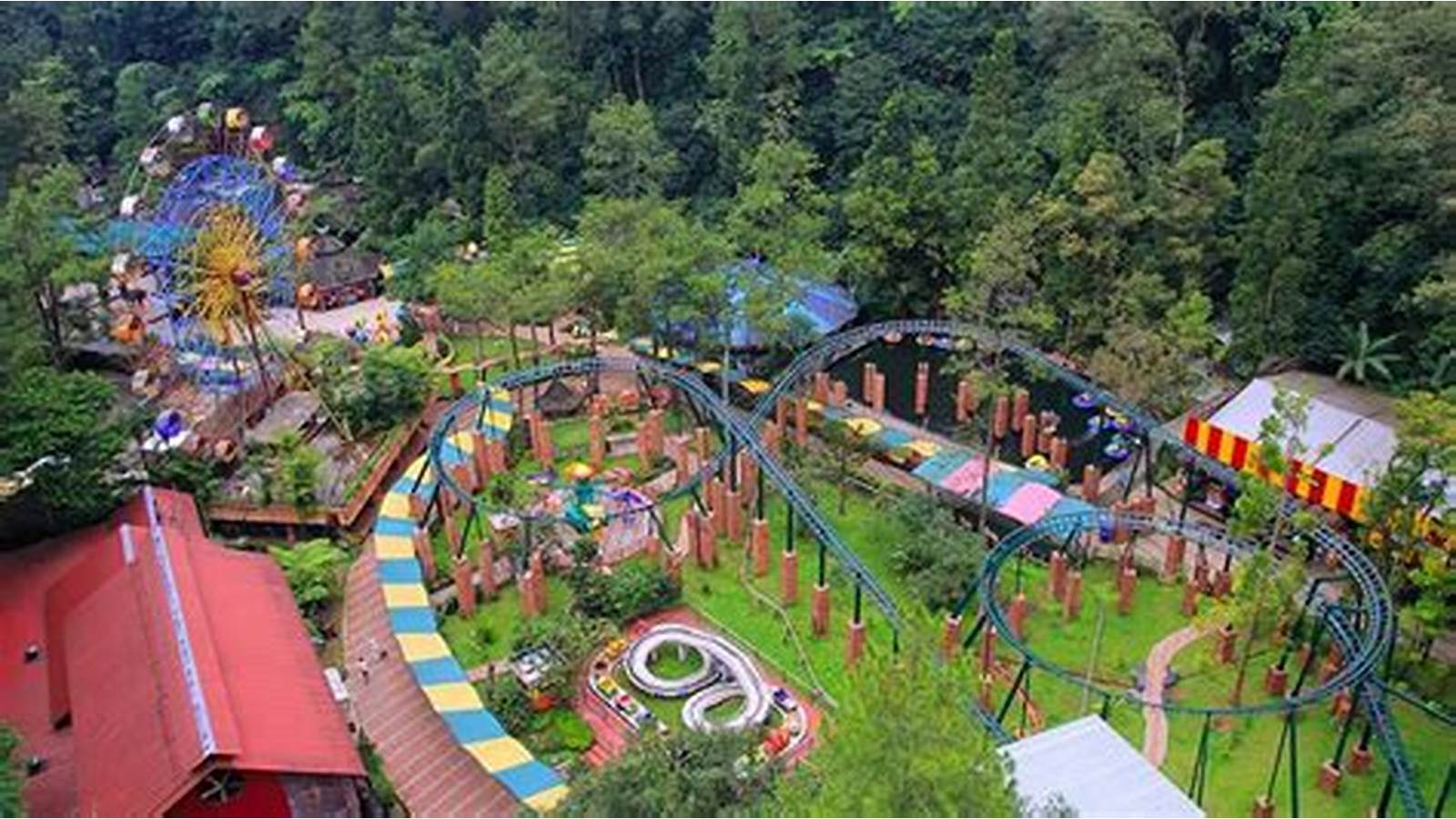 Team Building Puncak di Taman Safari Indonesia